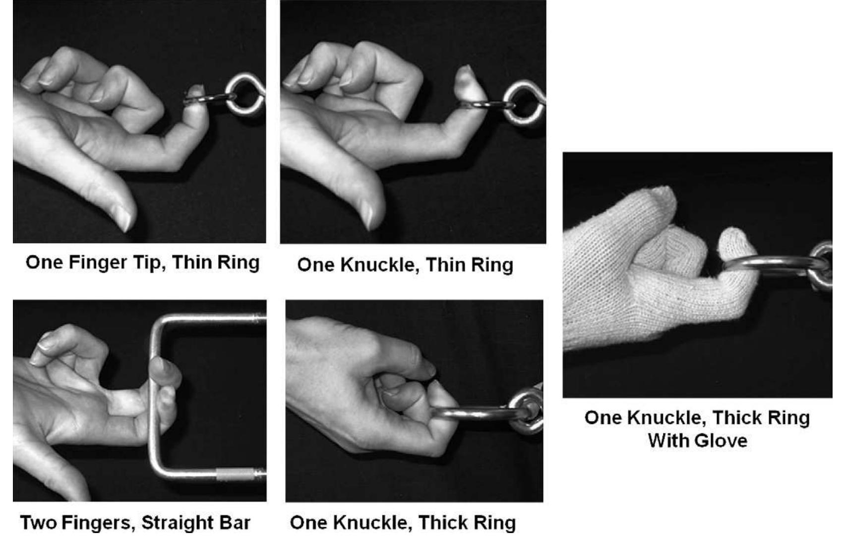 Photos to illustrate the study conditions. the photo on the