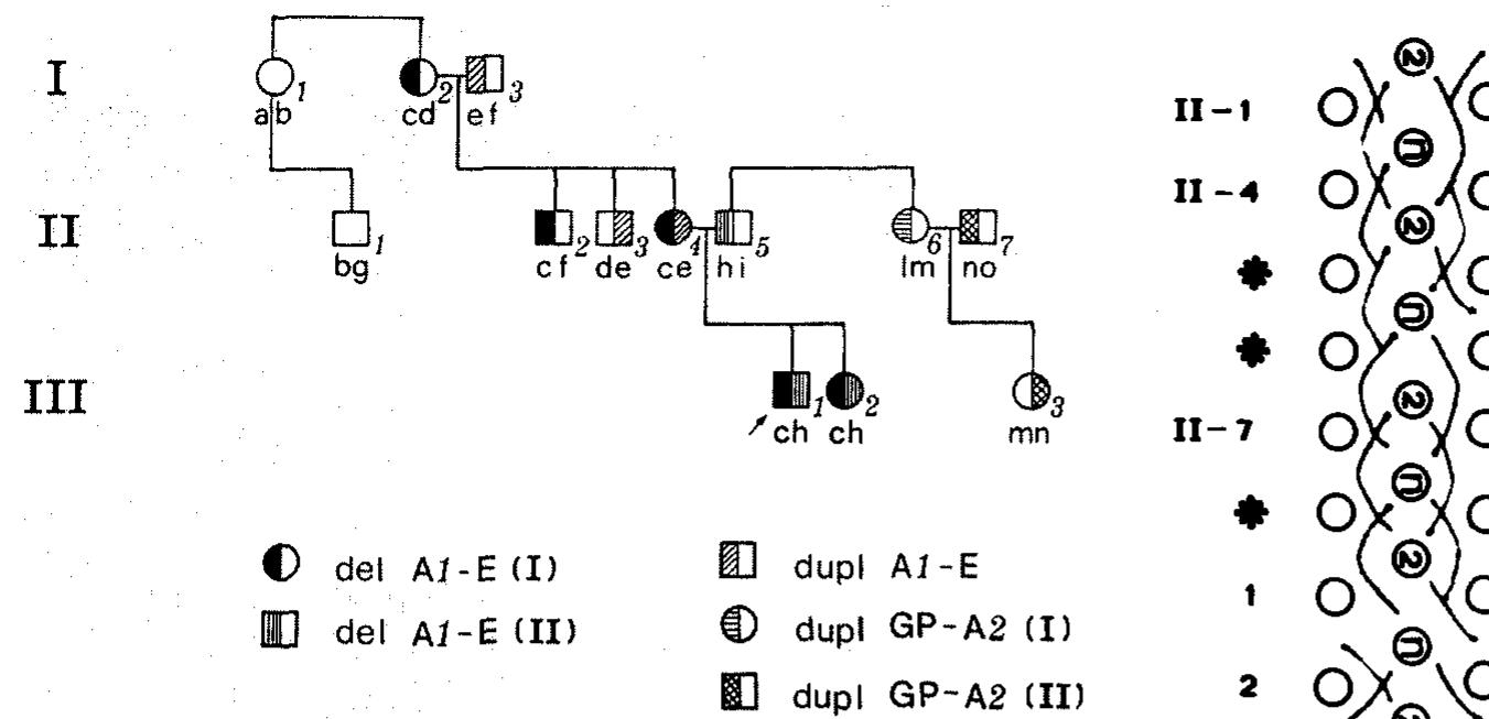 Family tree of the bon family, showing the segregation of