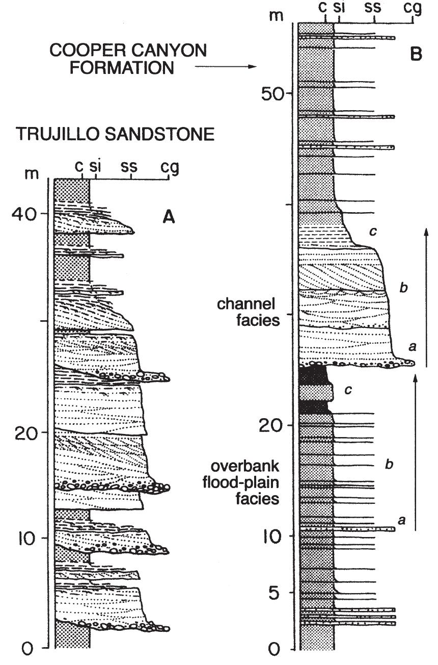 Typical sections of (a) the trujillo sandstone at the