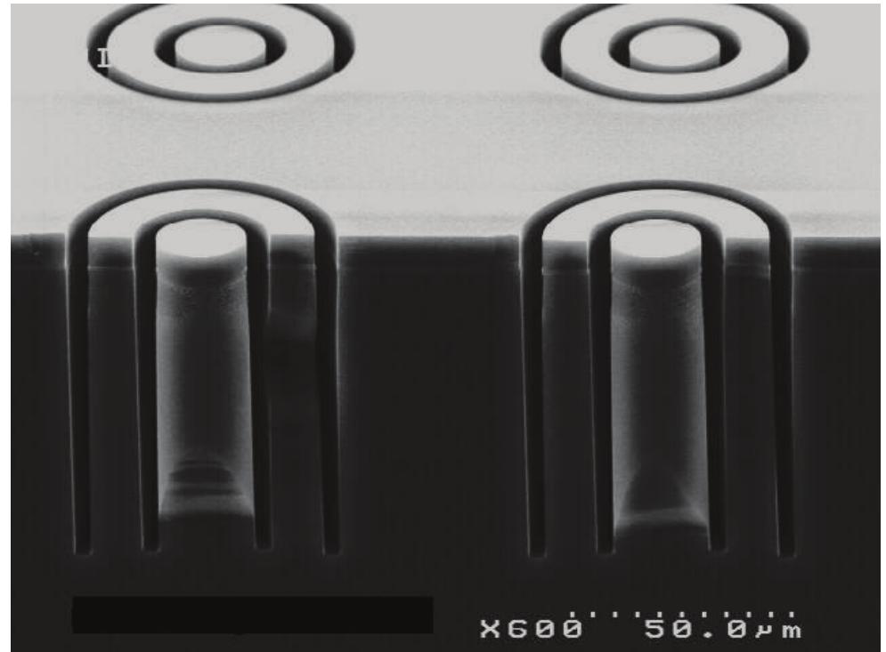 Sem cross section of tsvs 2 rings 5um the first specificity
