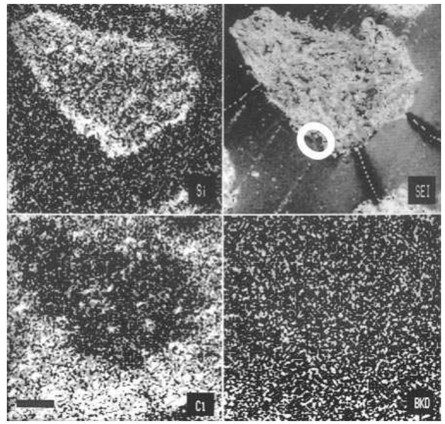 Typical edx elemental x-ray map of cross- sectioned smcc90