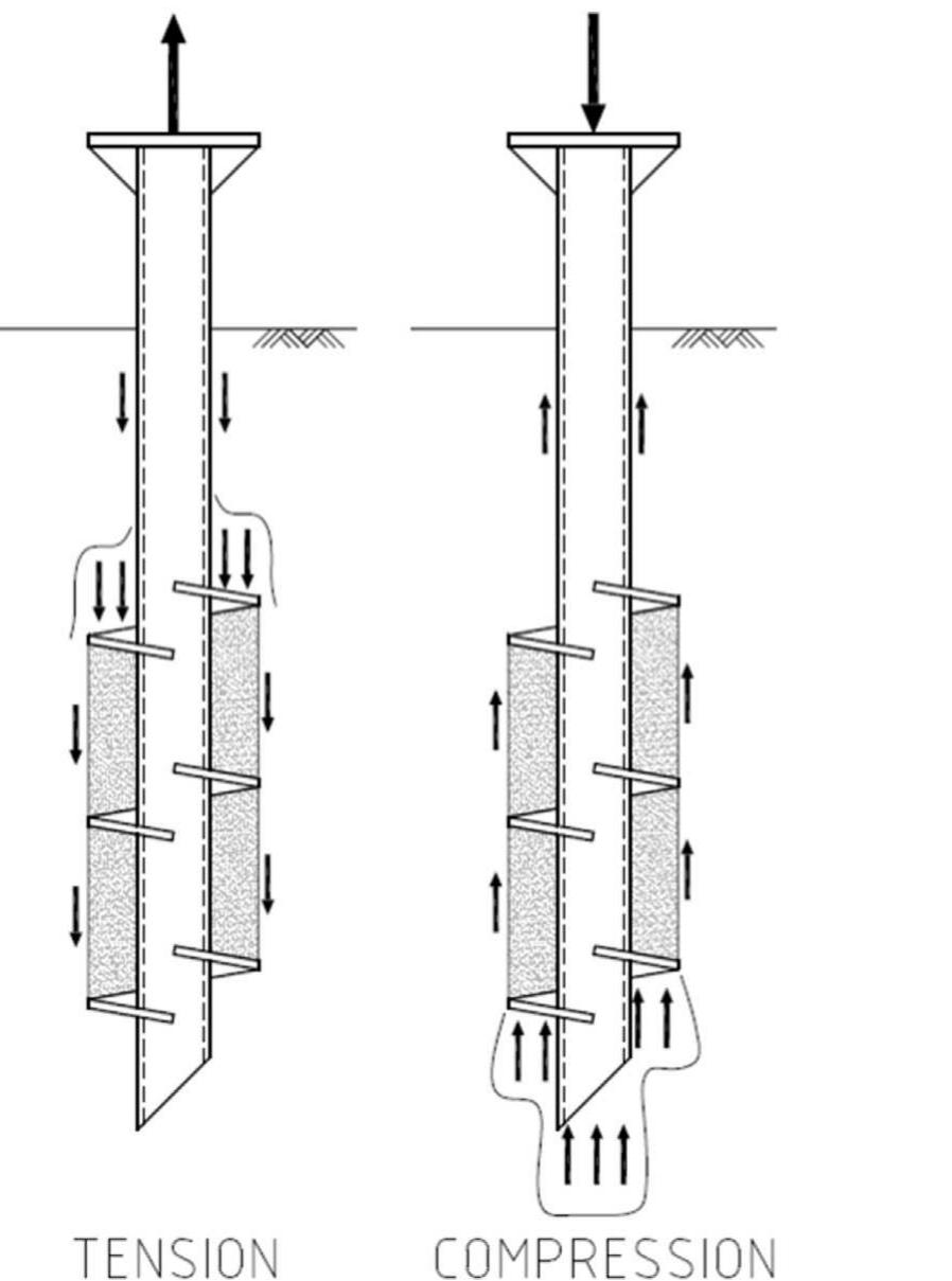Screw piles axially loaded in tension and compression,