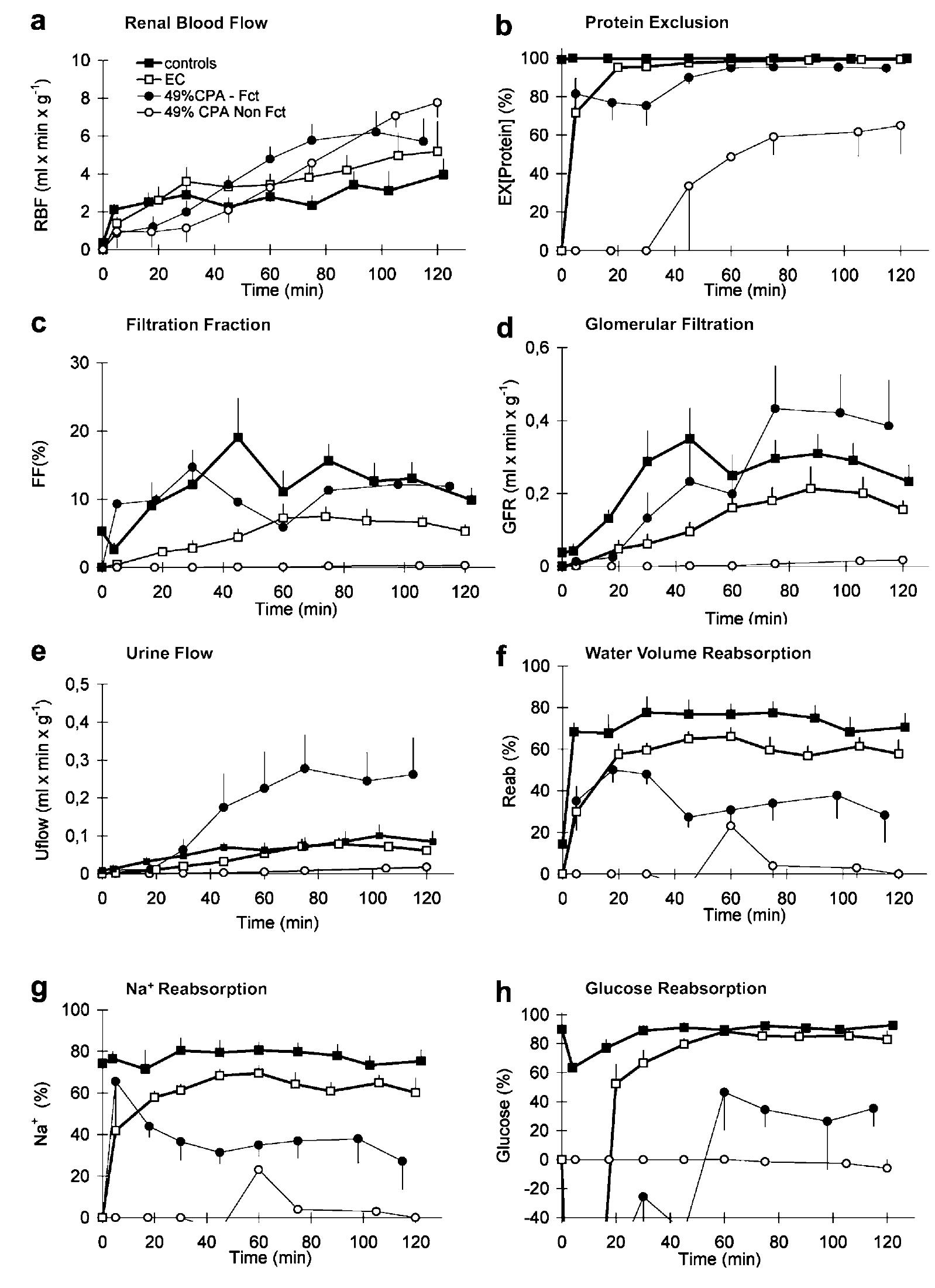 Blood perfusion of kidneys: functional parameters showing no