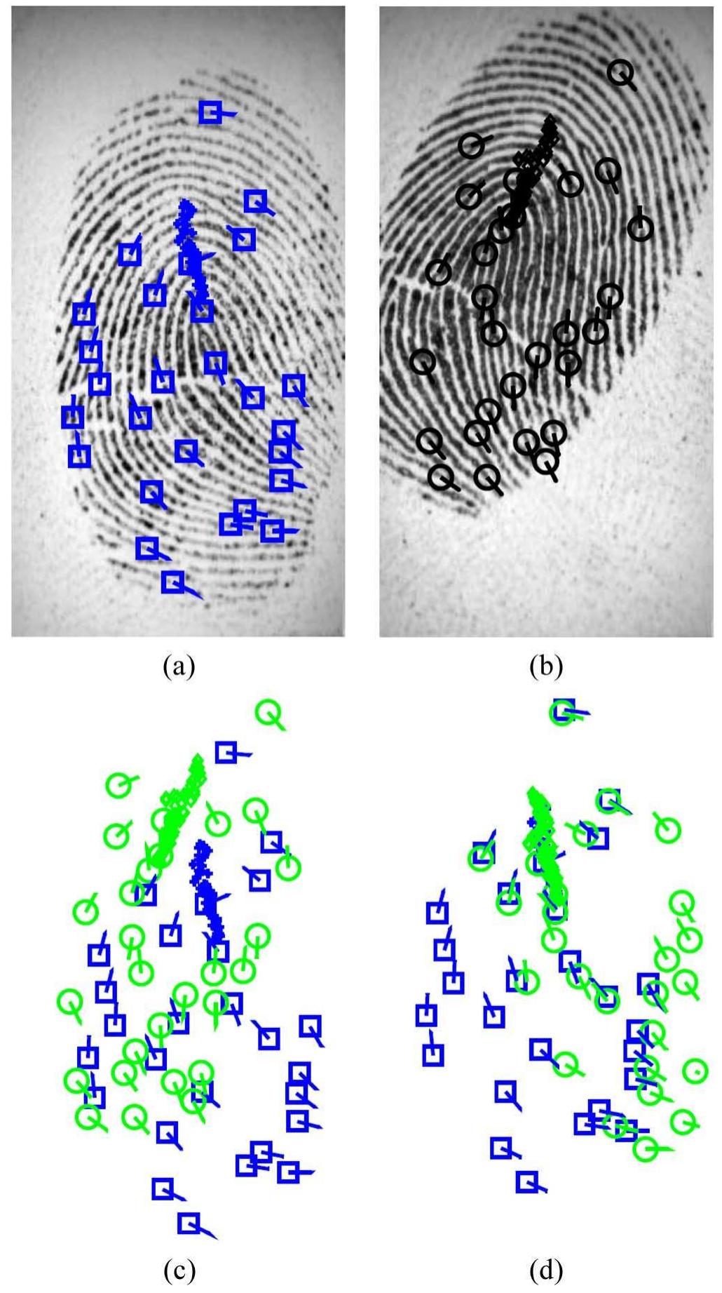 Example of successful minutiae alignment based on helper