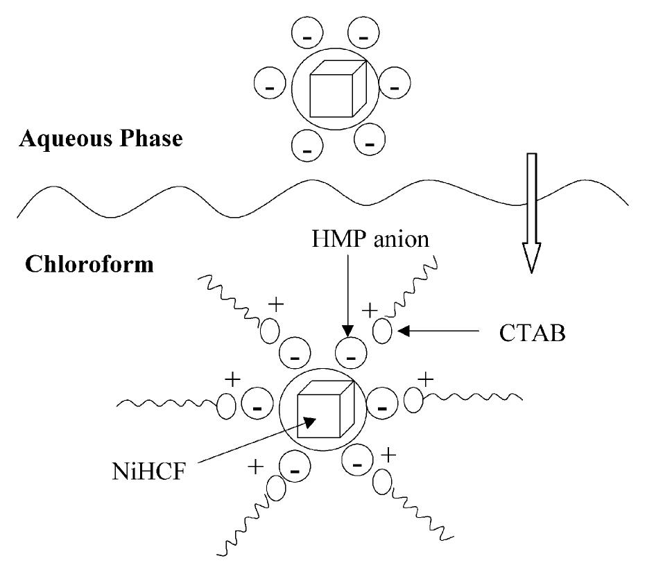 Schematic representation of extraction of nihcf nano-