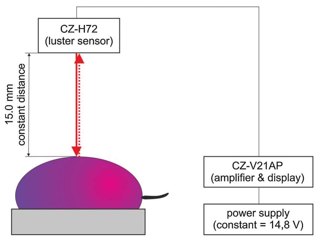 Laboratory setup to determine the luster level of a plum