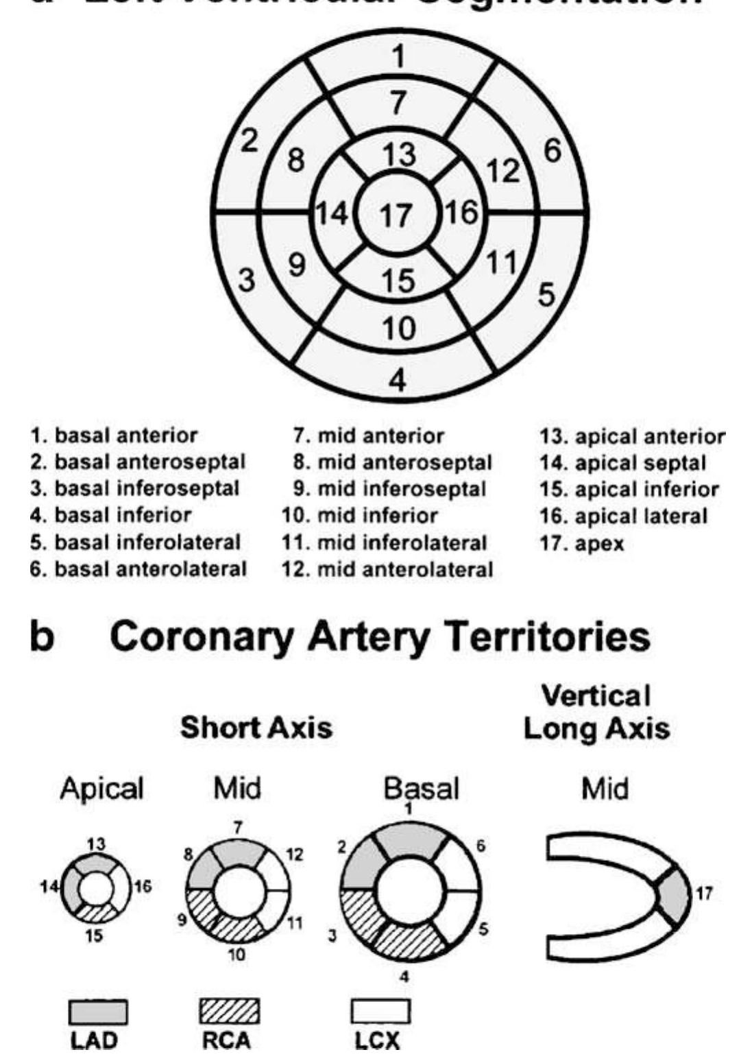 Anterior descending (lad), right coronary artery (rca) and