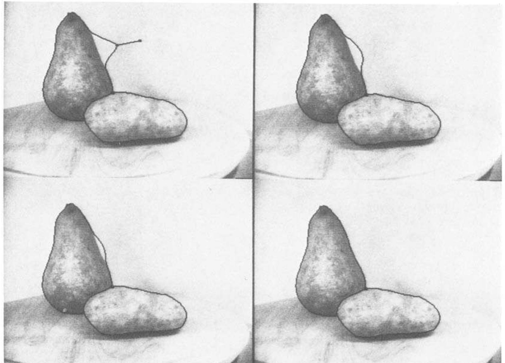 (PDF) Snakes: Active contour models