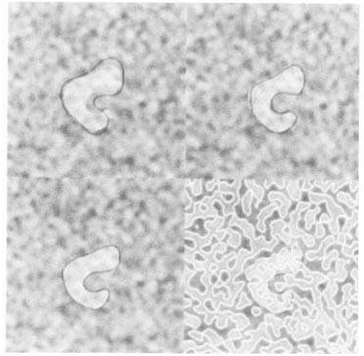 (PDF) Snakes: Active contour models