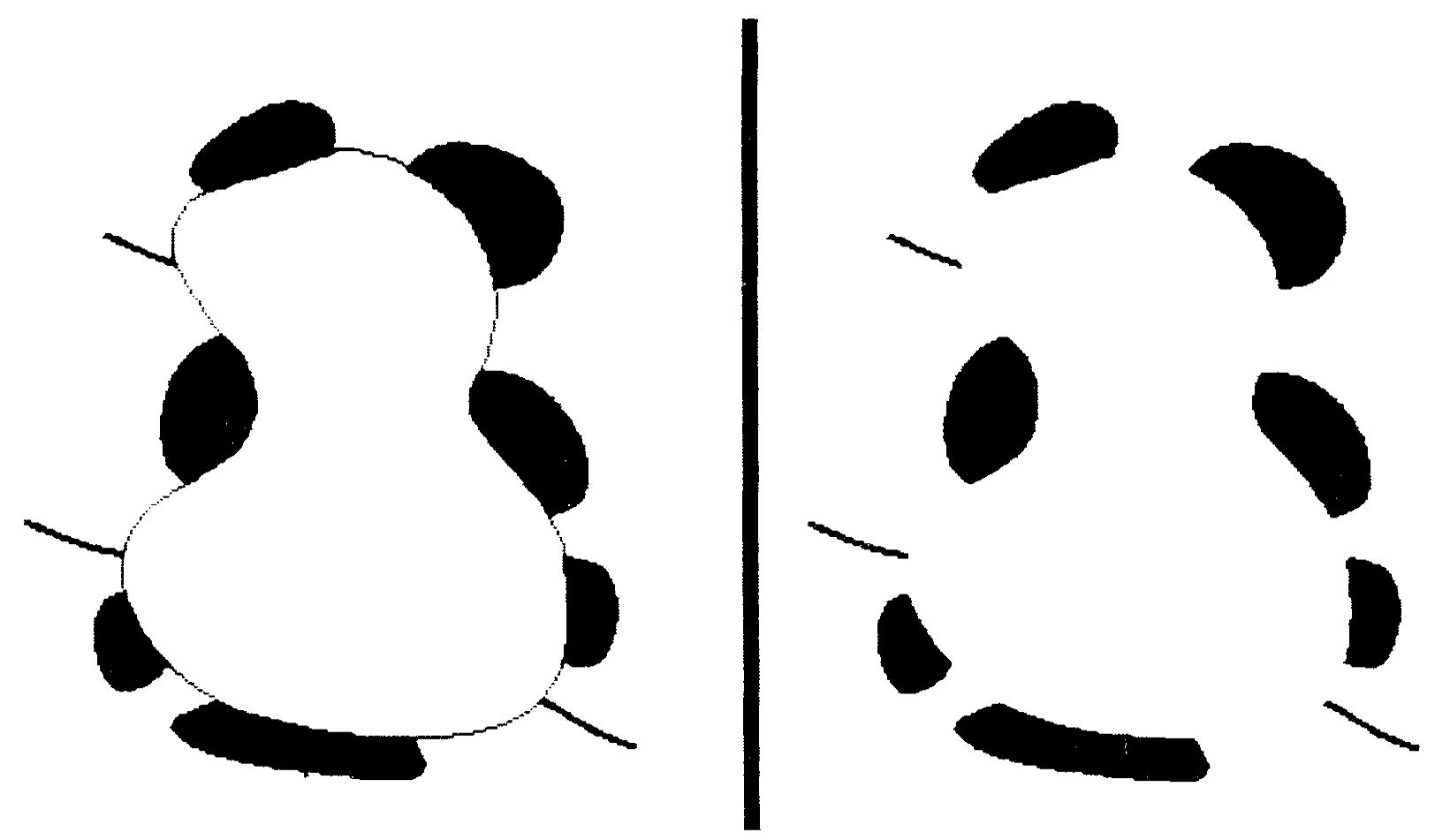 (PDF) Snakes: Active contour models