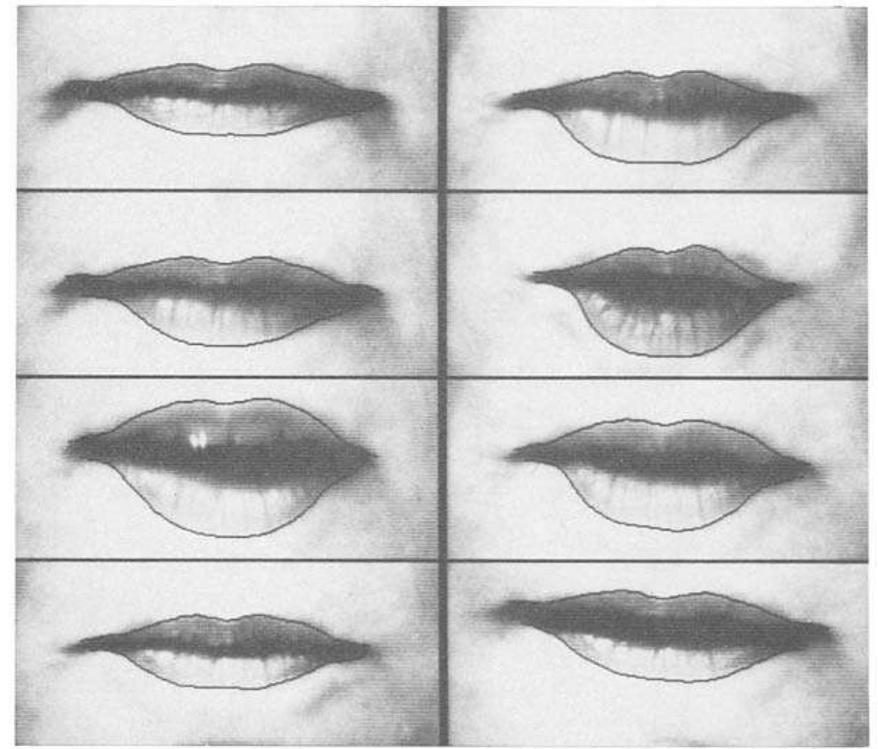 (PDF) Snakes: Active contour models