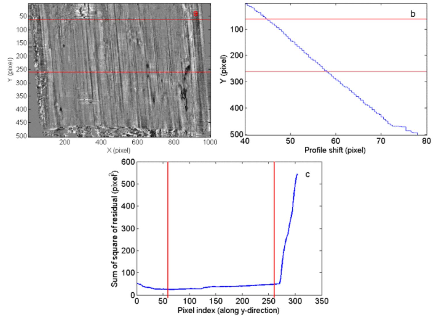 —selection of effective correlation area: (a) image after