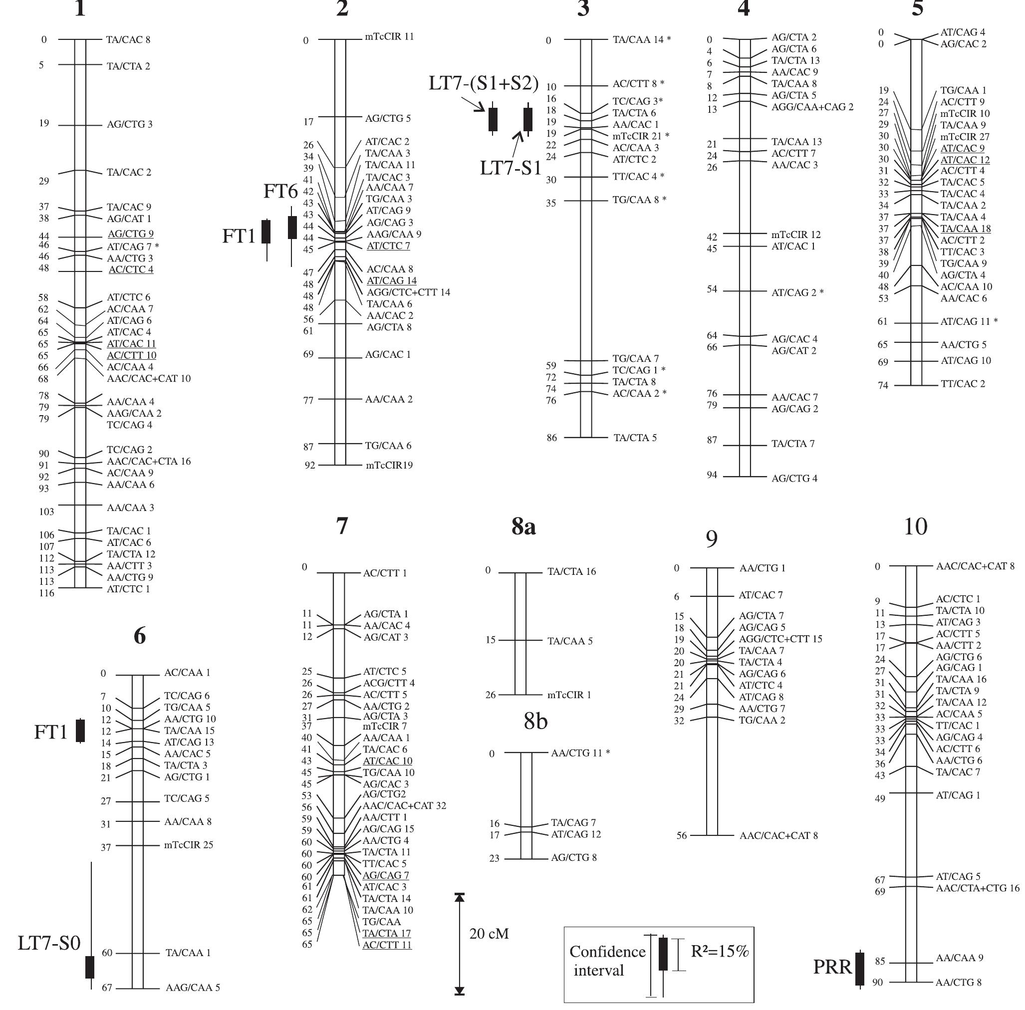 Genetic map of t60/887 and location of qtls for resistance