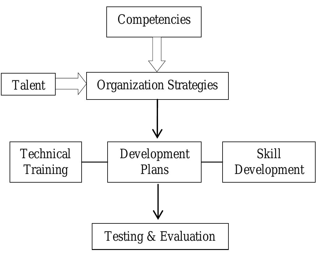 Talent development process