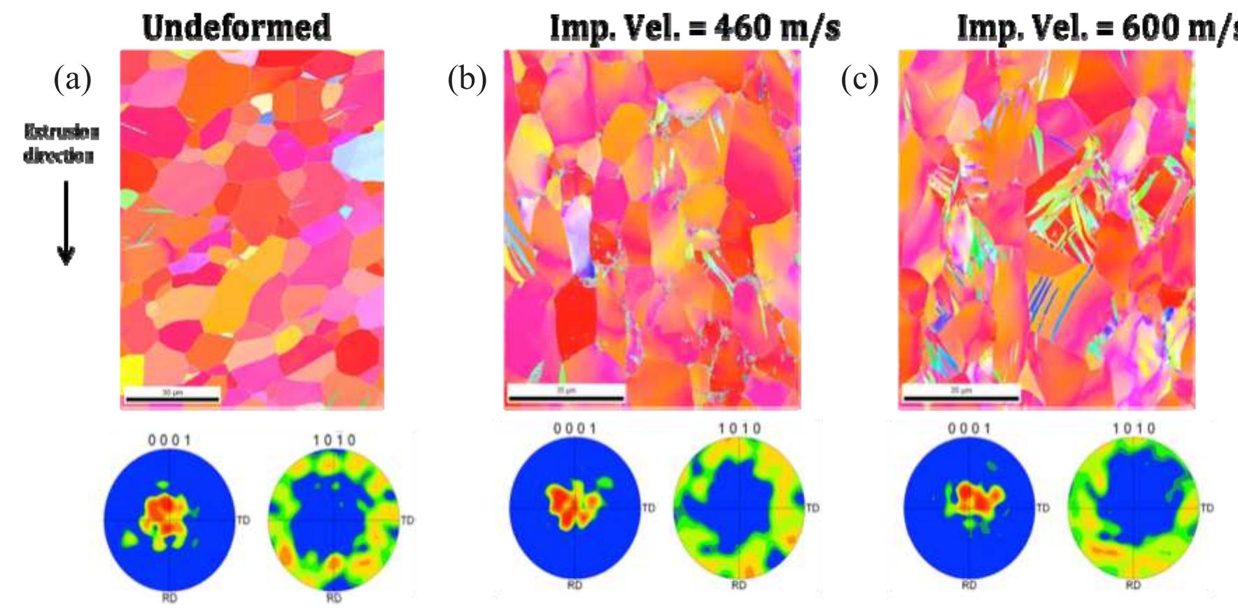 Ip Case A The Undeformed Microstructure And Texture B