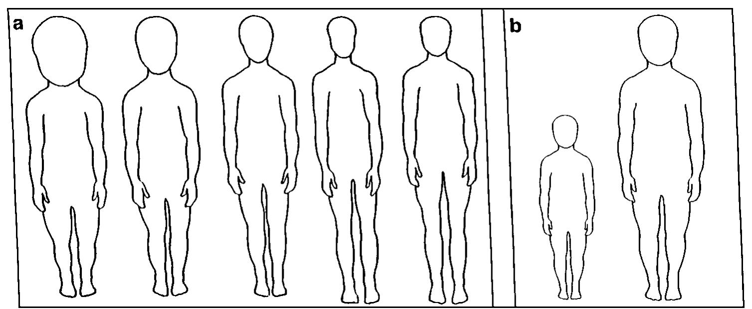 B1.2. a: the series of five shape-variant drawings used in