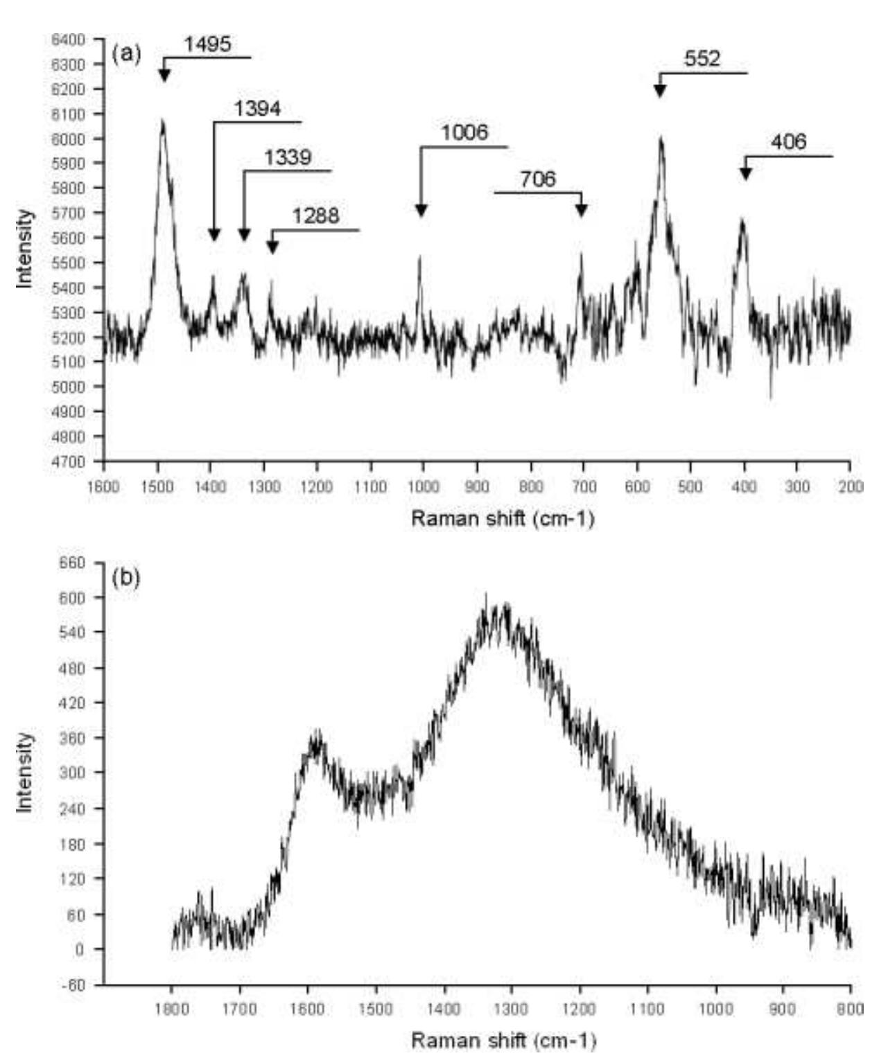 Raman spectra of the compounds identified in black inks on