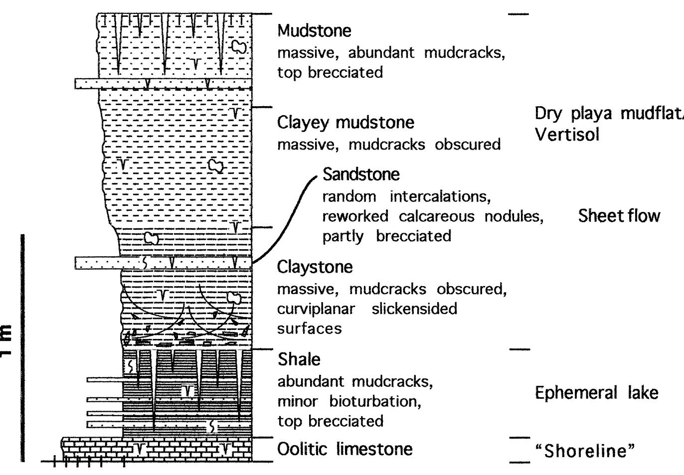 Generalized sedimentary cycle of t4/imi n’tanout. legend is