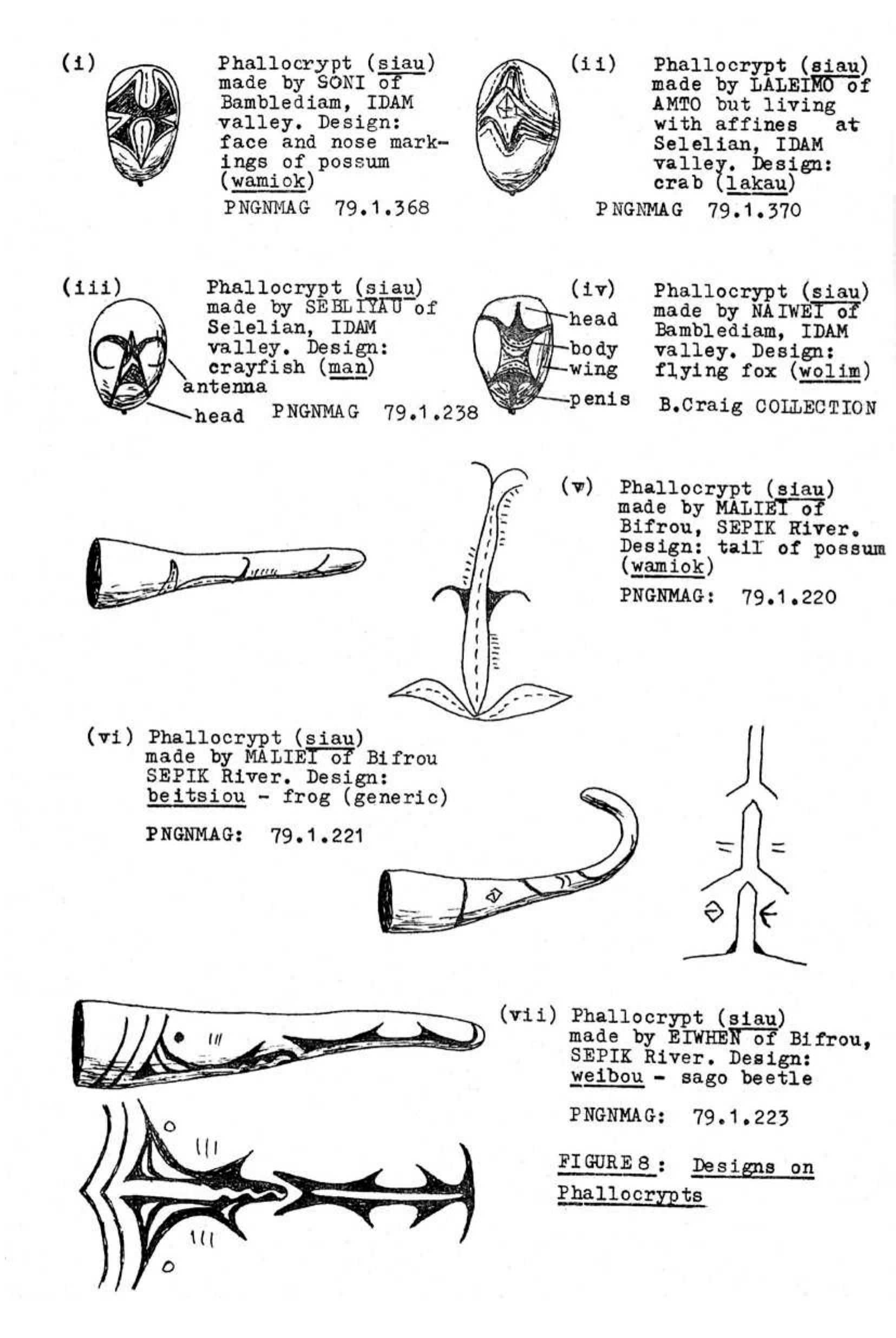 B) phallocrypts (penis covers) - there are of two types,