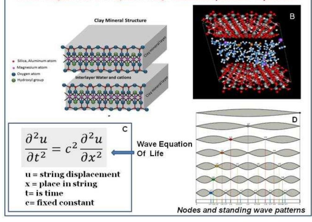 (PDF) Quantum Wave Information of Life Revealed: An Algorithm for ...