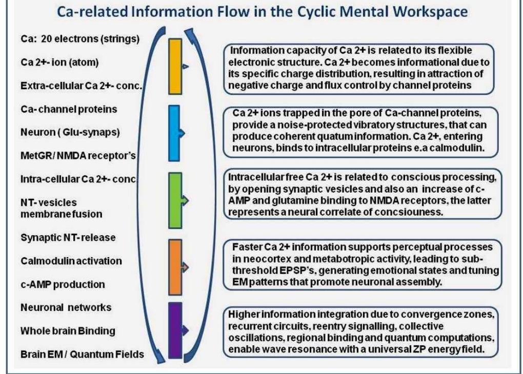 (PDF) Quantum Wave Information of Life Revealed: An Algorithm for ...
