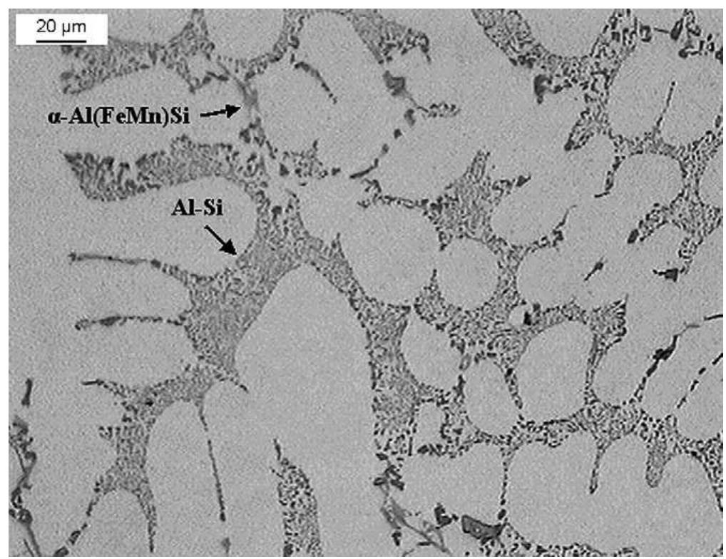 - optical micrograph showing secondary phase particles in