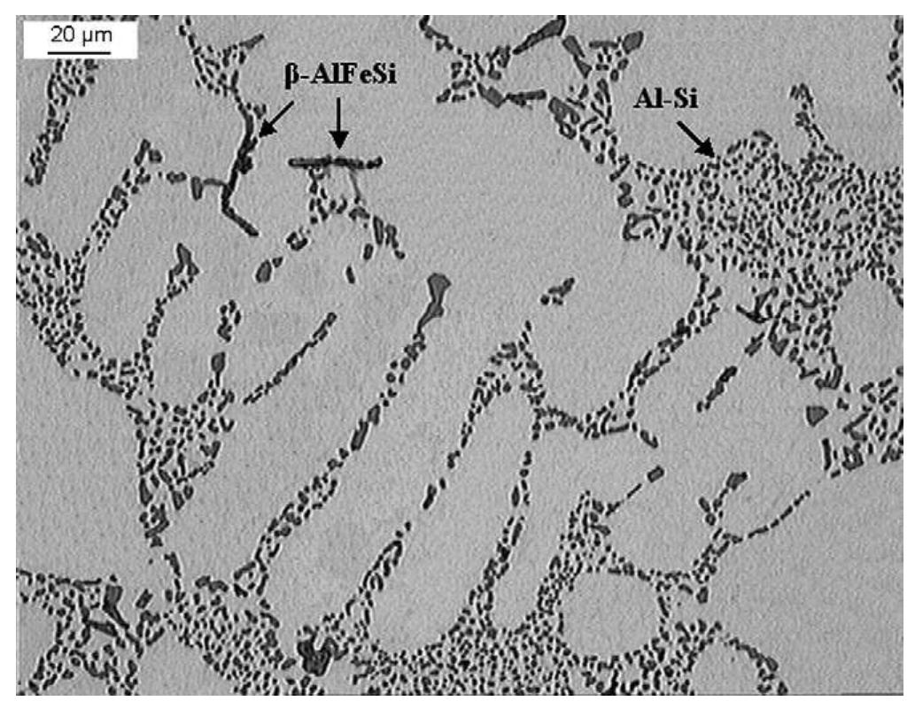 - optical micrograph showing secondary phase particles in