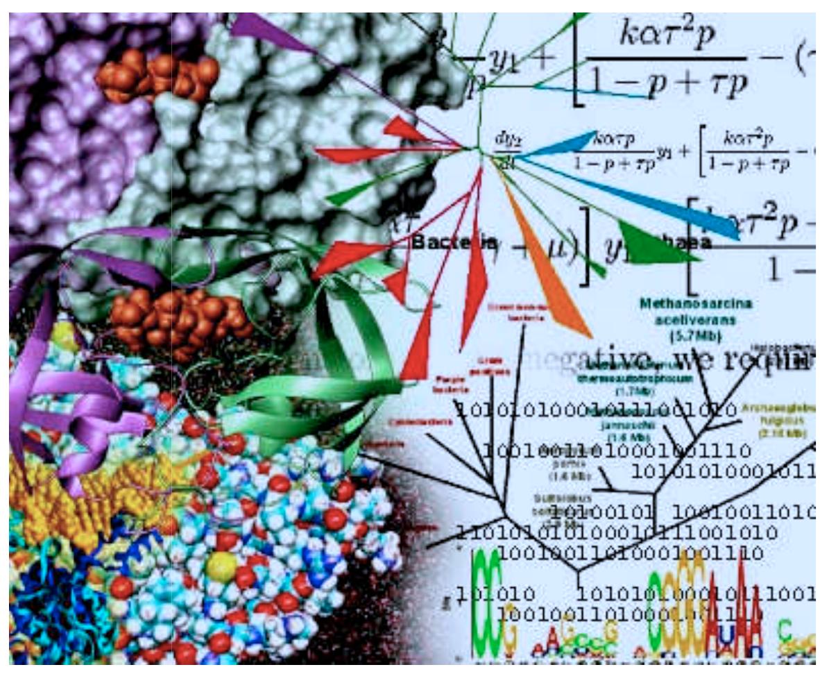 Were quantum mechanical mechanisms acting upon primordial