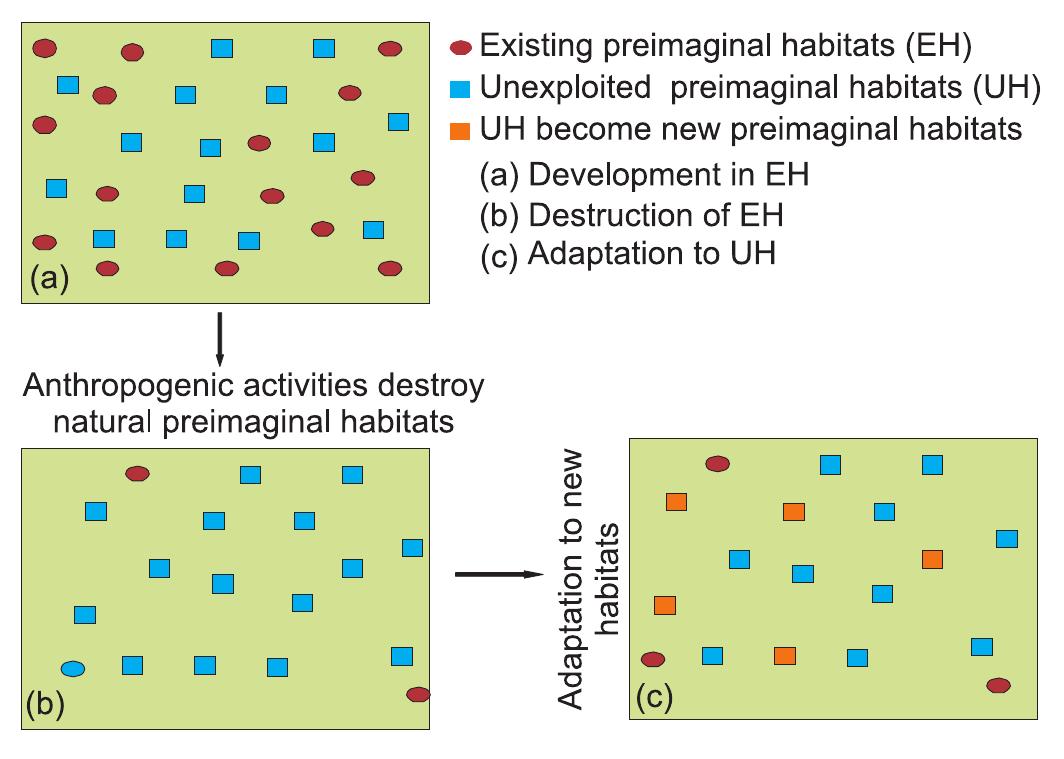 Figure 1 - Adaptation of mosquito vectors to salinity and