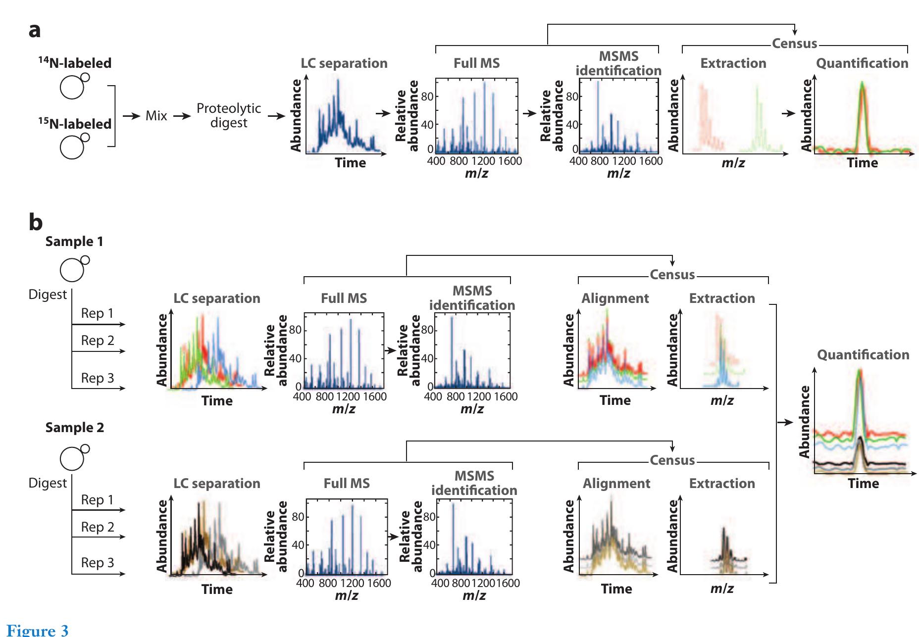 Schematic detailing the quantitative analysis capabilities