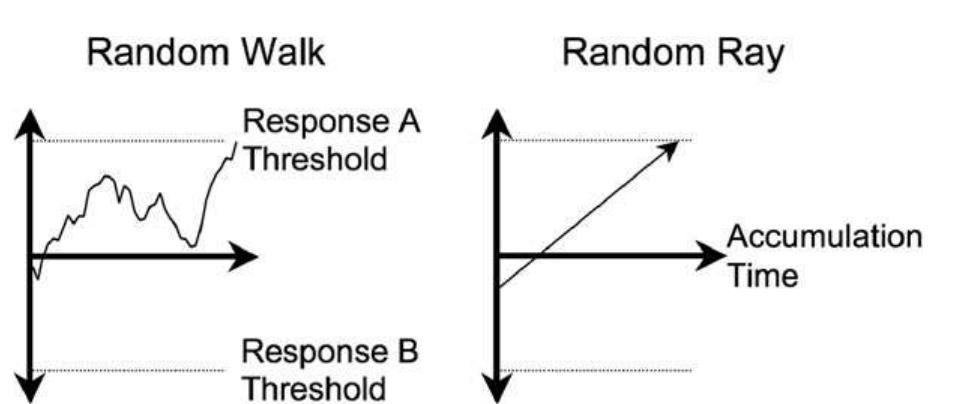 Schematic Illustration Of A Standard Random Walk Model