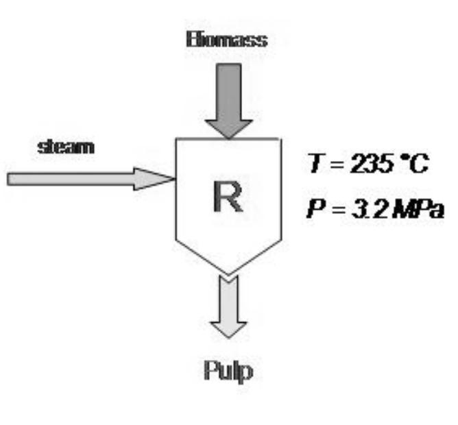 Steam explosion auto-hydrolysis fig. 8. model of the steam
