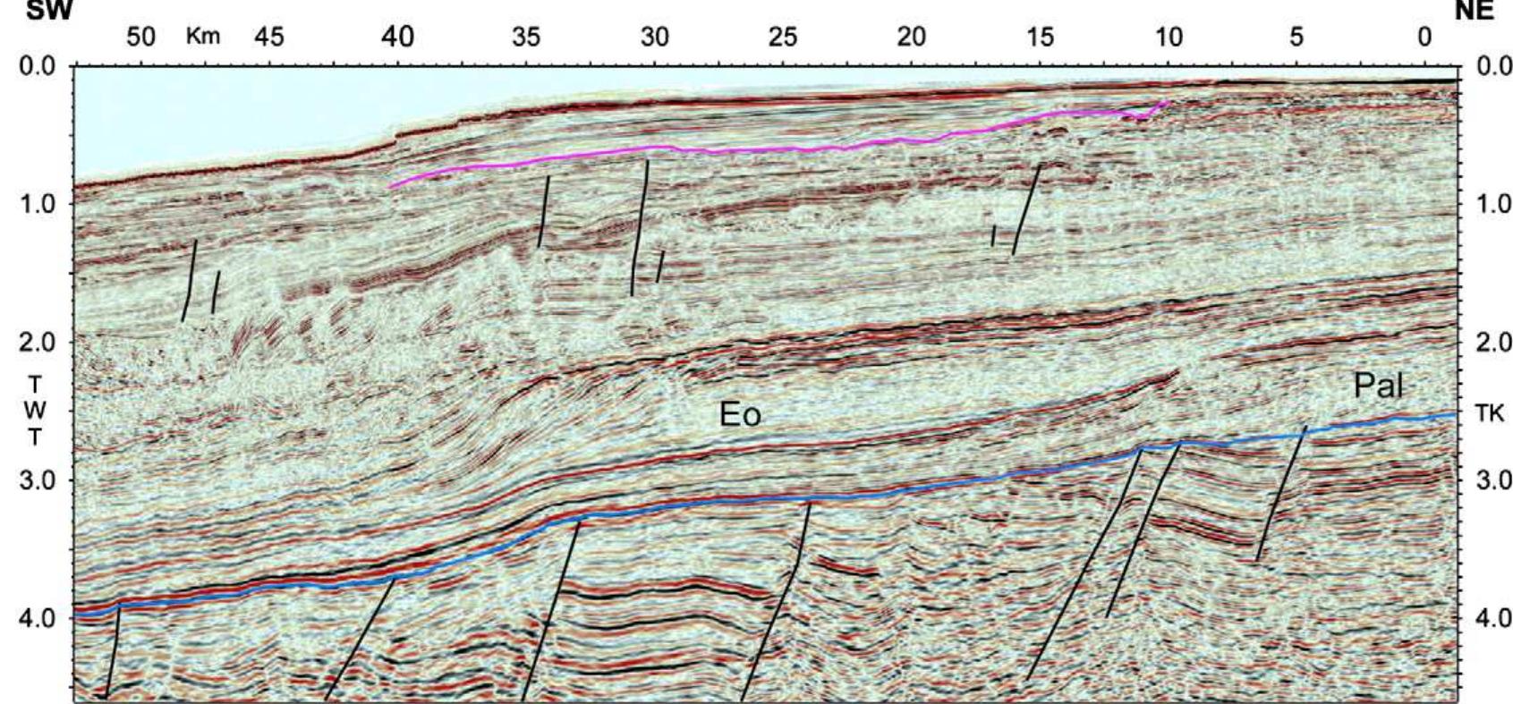 Seismic profile showing paleocene (pal) and eocene (eo) age