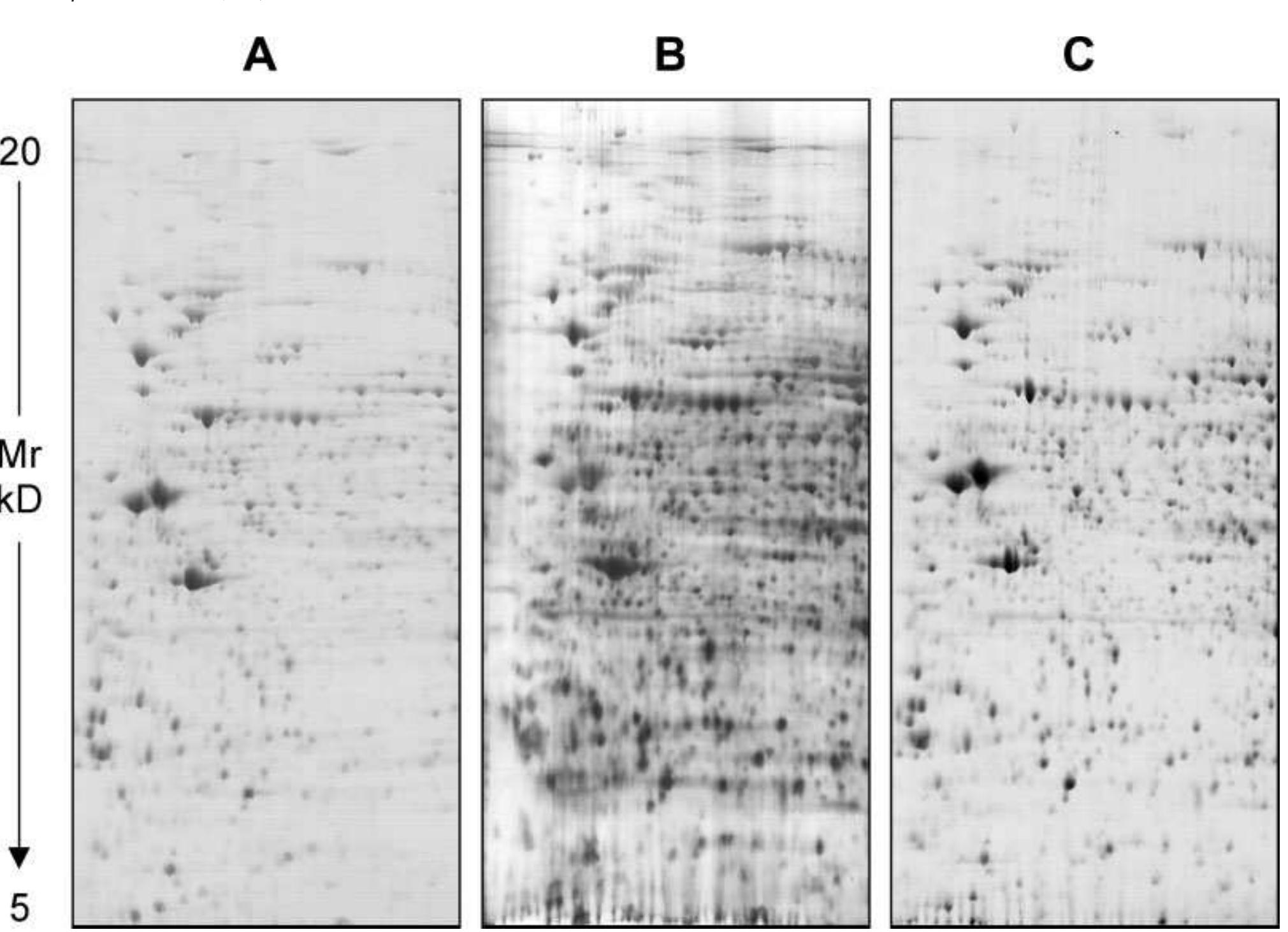 Comparison of stain sensitivity after a 2-d map of human