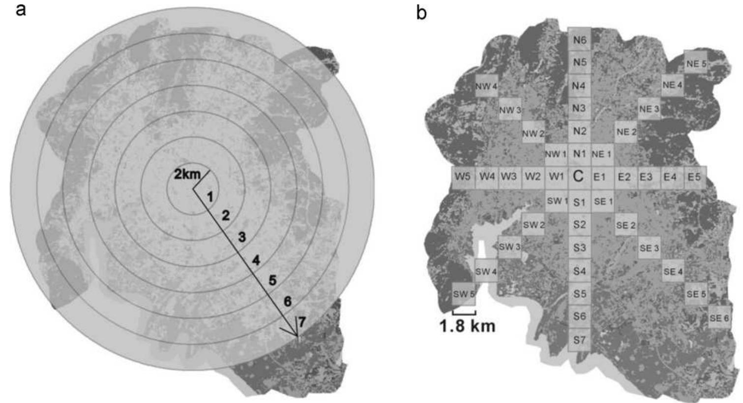 The layout of concentric belts and directional cells. (a)