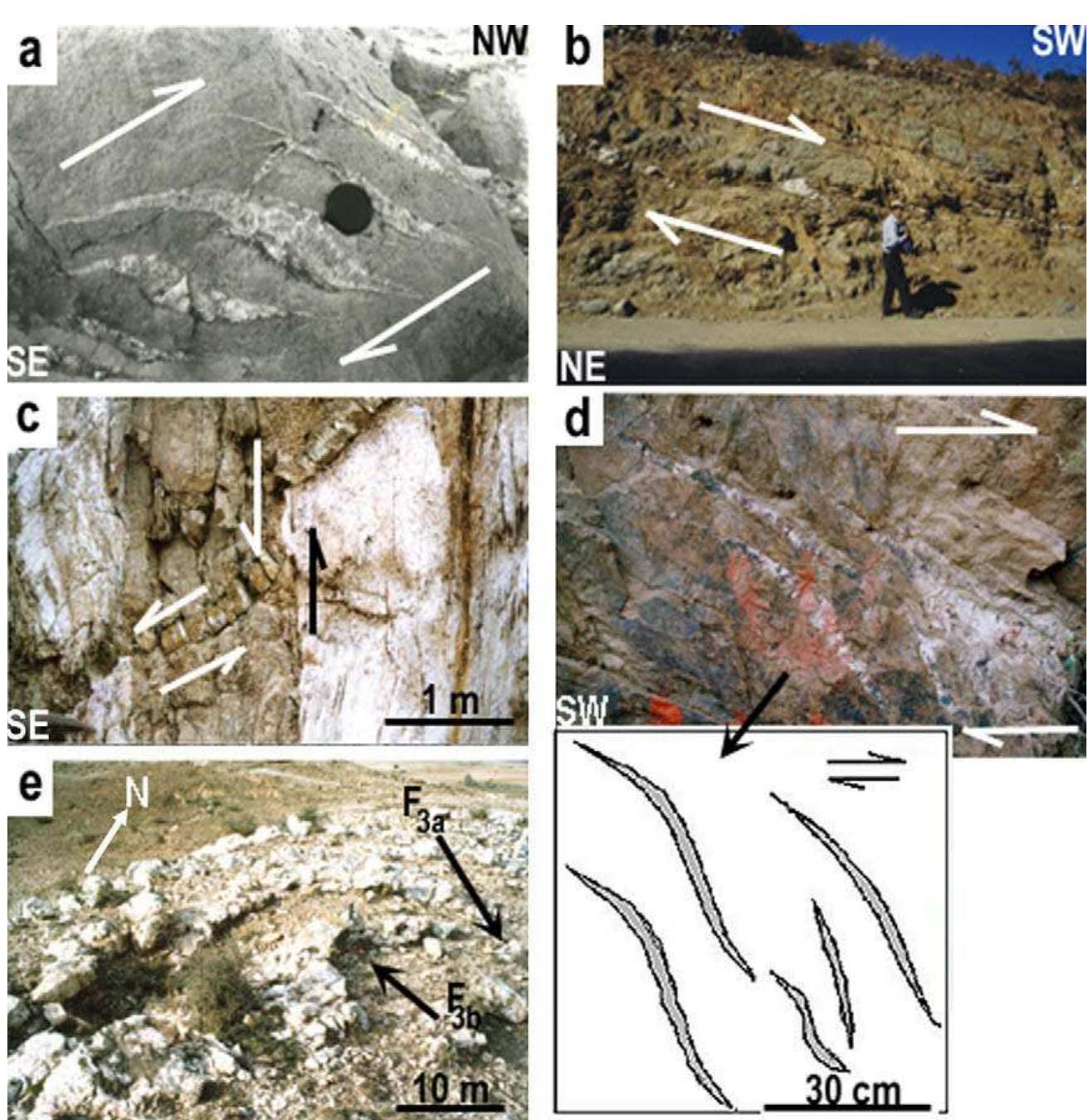 Field photographs of cross-sectional views of quartz veins