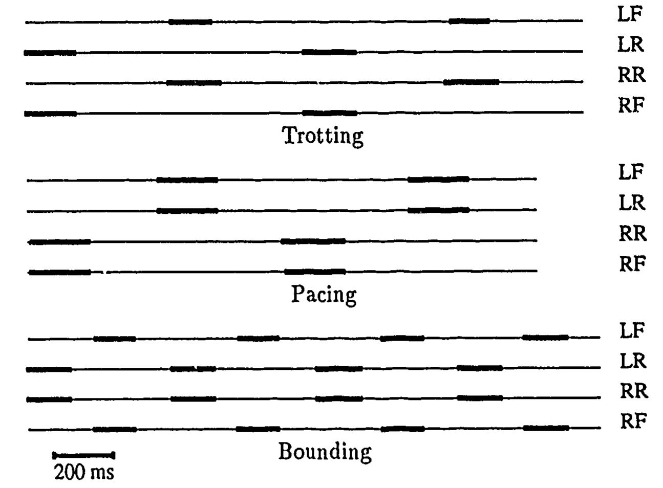 -2: pair gaits. gait diagrams showing the pattern of leg use