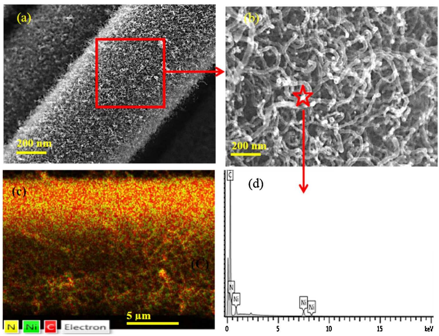 Sem images of n-ni-cnf/acf at (a) low and (b) high