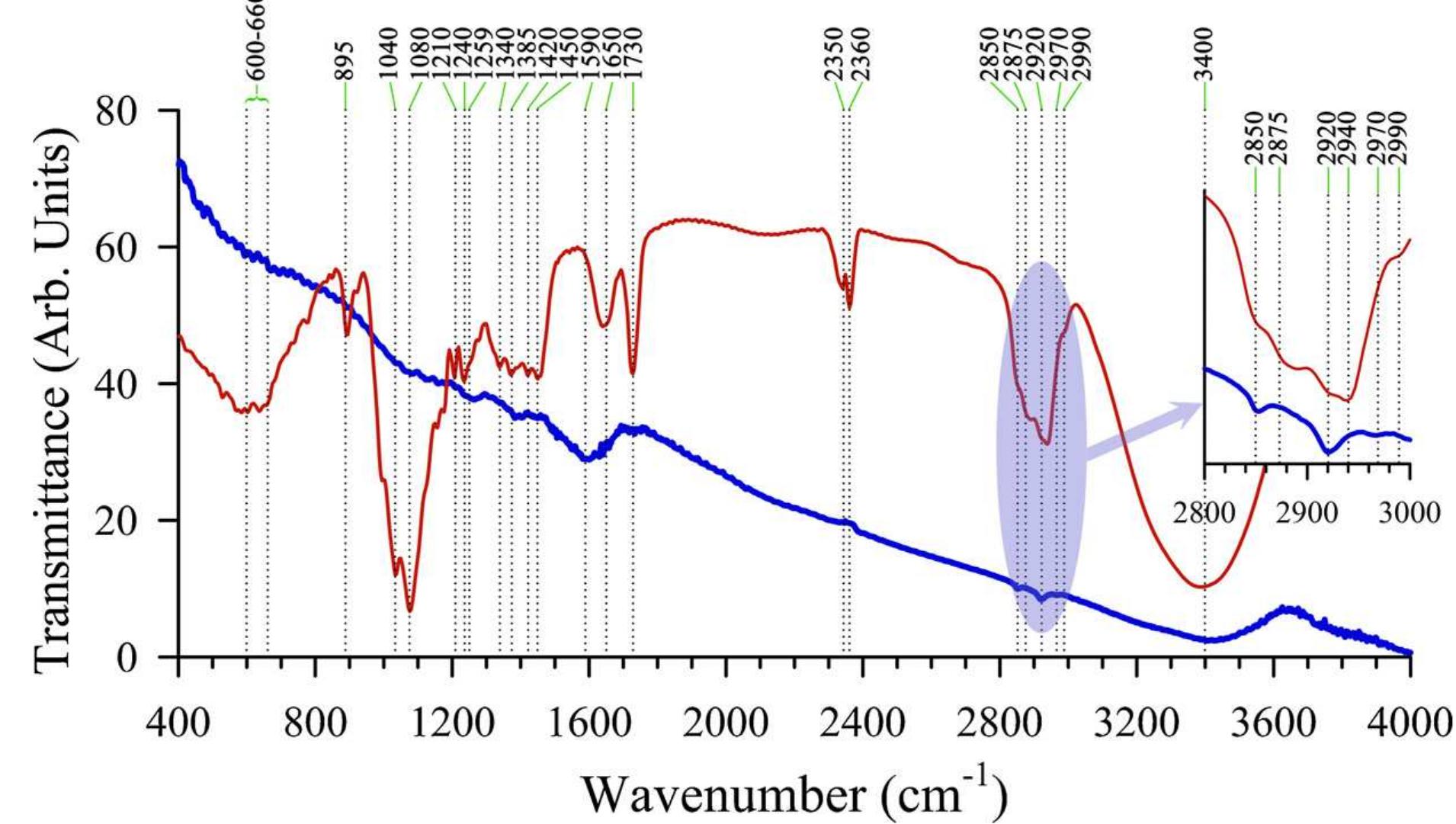 Ftir spectra of the stevia leaf extract (light red) and