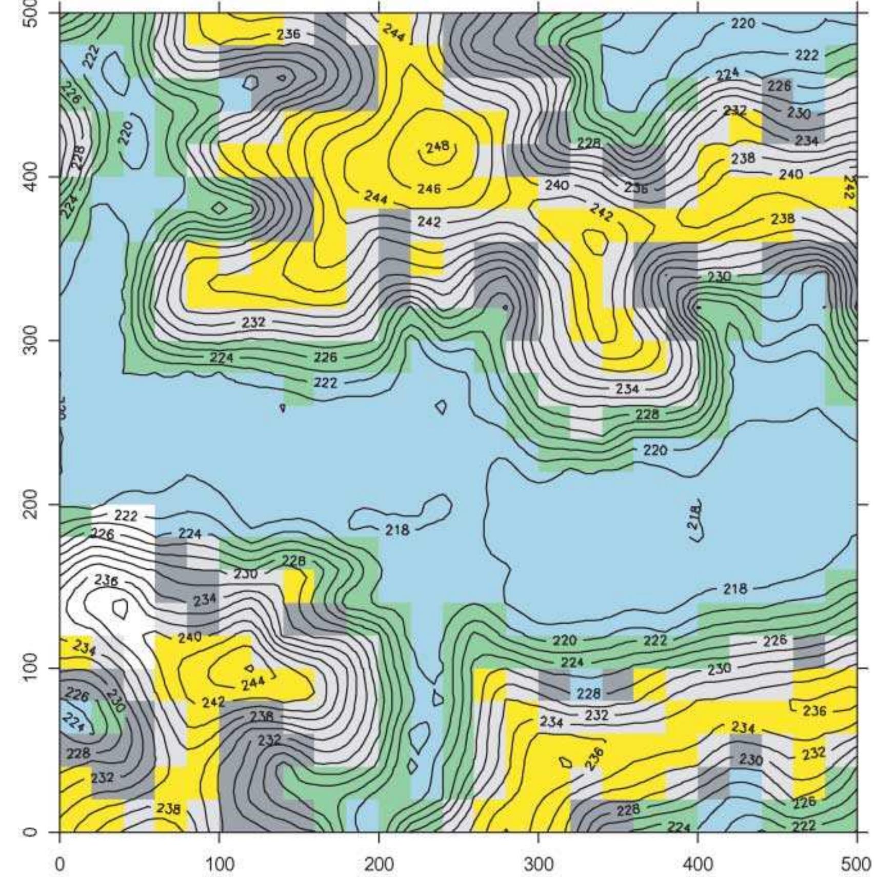 Topographic map of the 25-ha plot, with 2-m contour