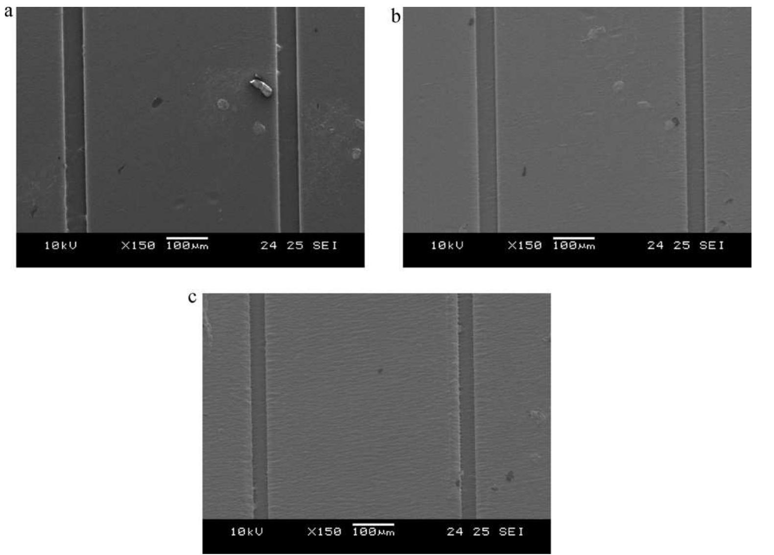 Typical sem images of (a) unmodified topas 8007 substrate