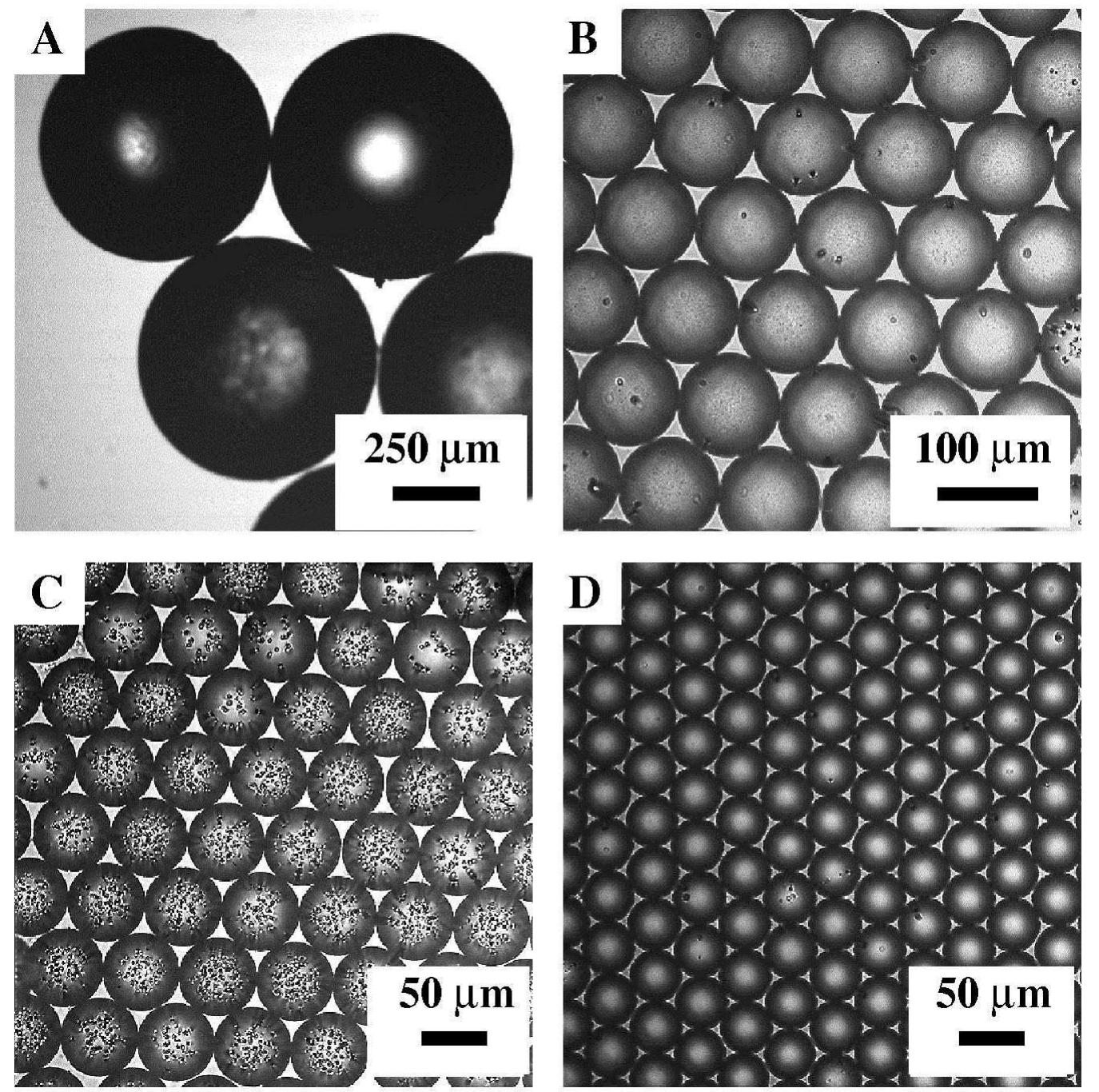 Light micrographs of uniform plg microspheres produced from