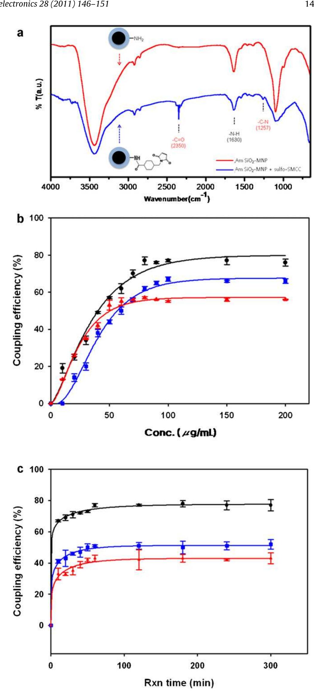 (a) ft-ir spectra of amino-functionalized si02-mnps and