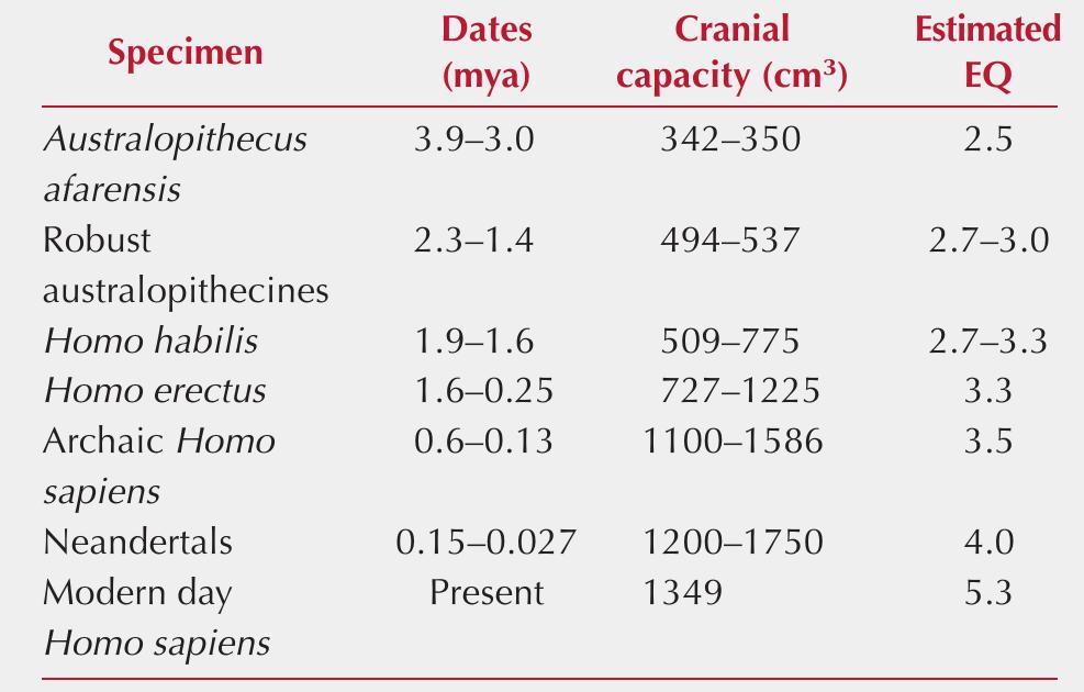 * mya, million years ago; eq, encephalization quotient. data