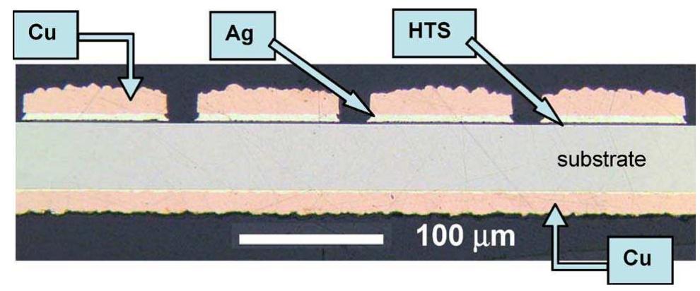 Cross section of a superpower multifilamentary wire with