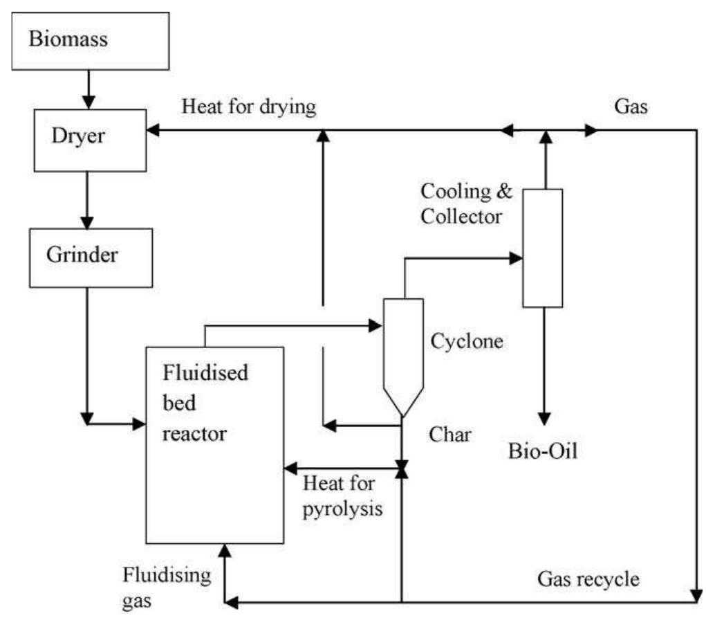 Fluidized bed fast pyrolysis process.