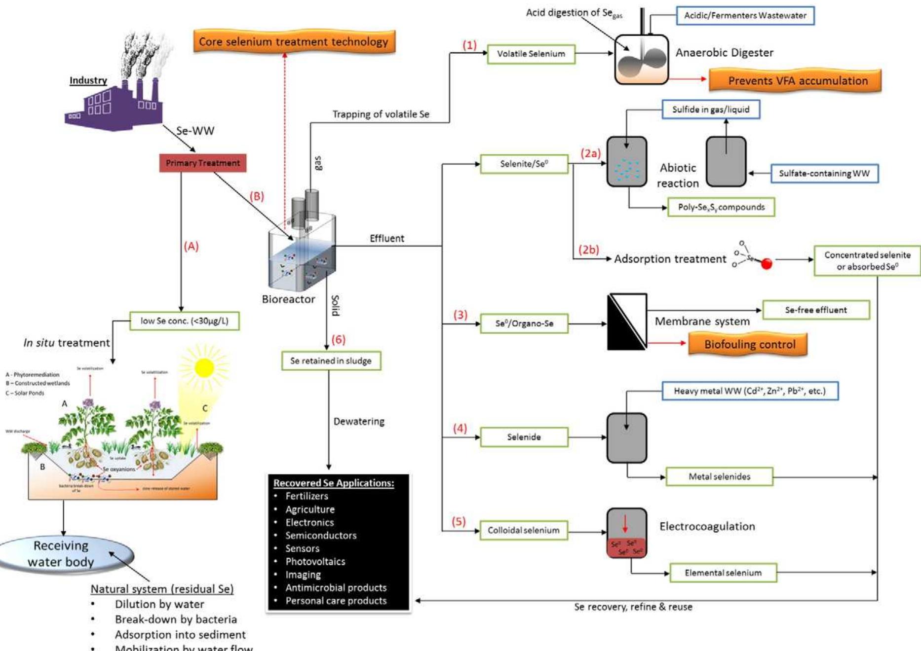 Schematic diagram showing possible process configurations