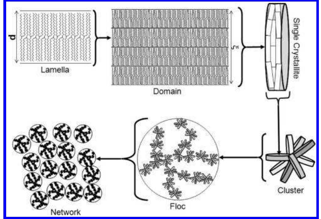 Schematic representation of the different levels of struc-