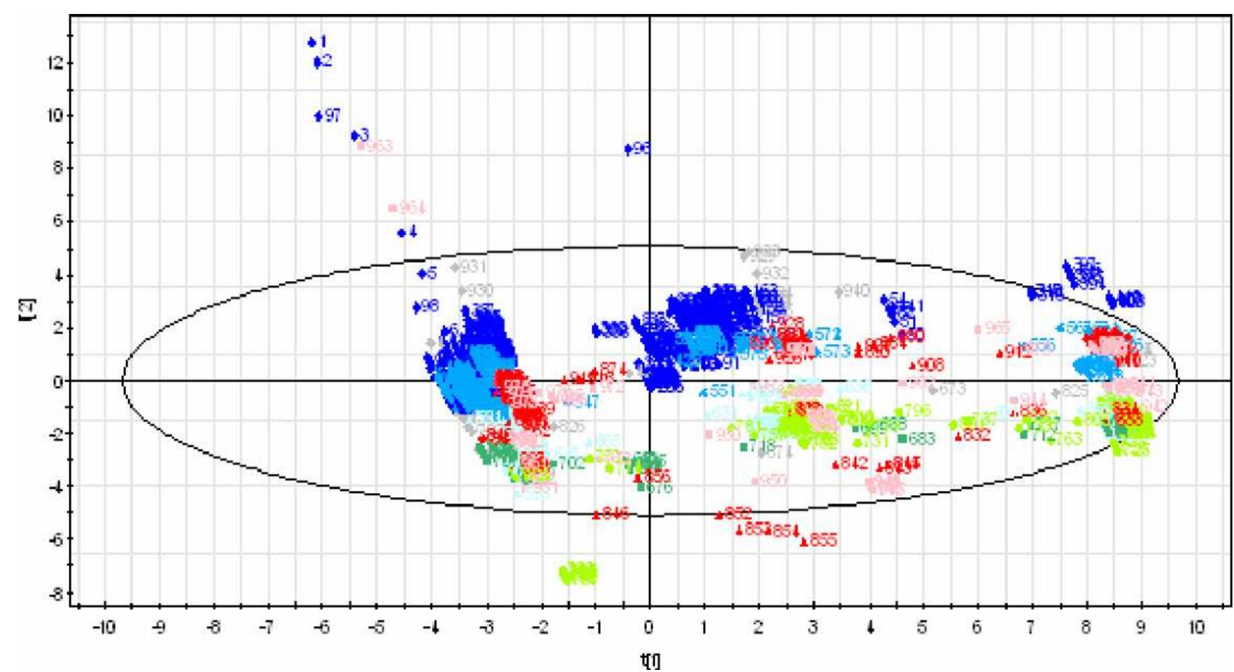 Score plot of first two principal components.