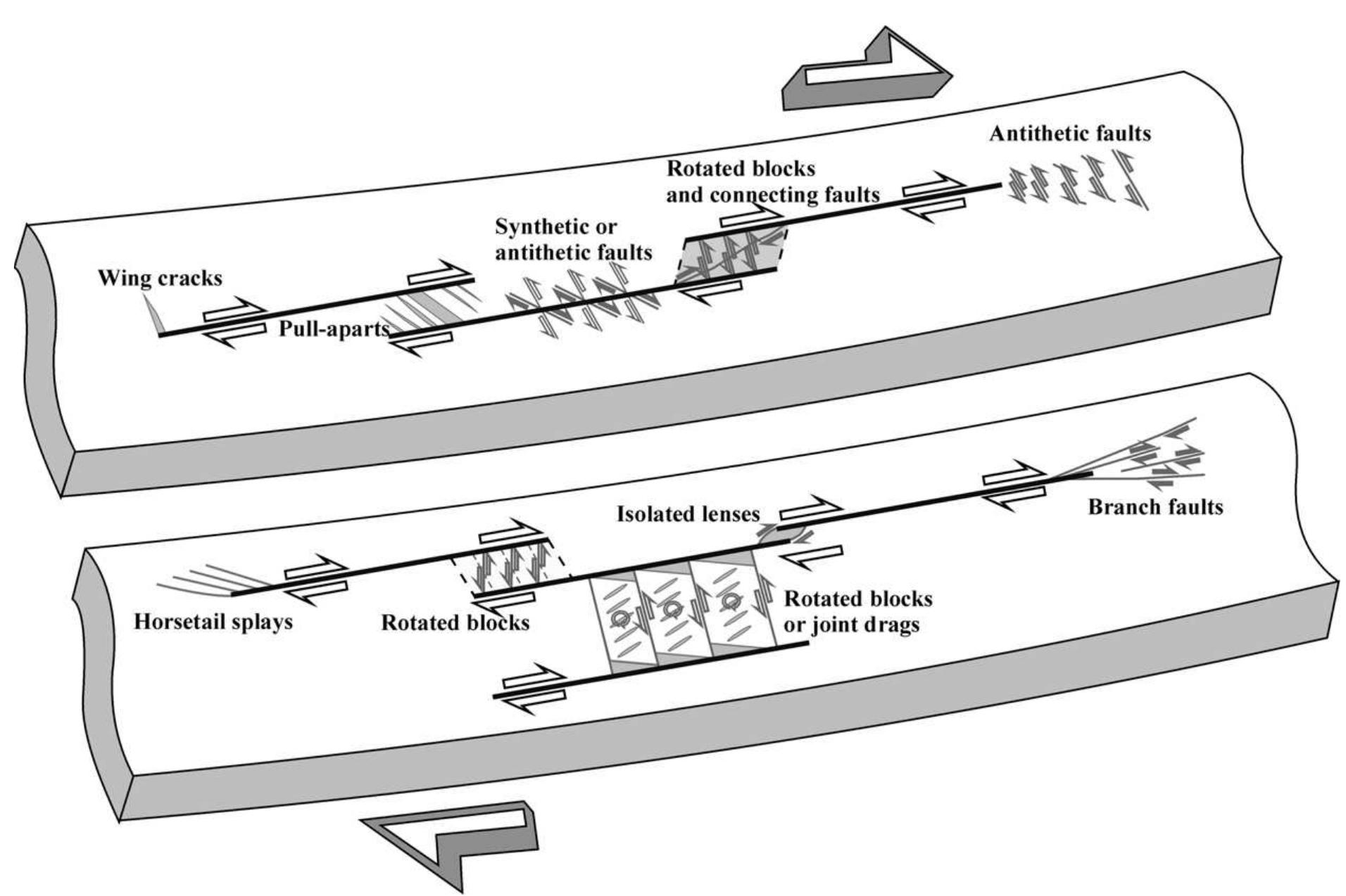 Schematic diagram showing structures that typically occur in